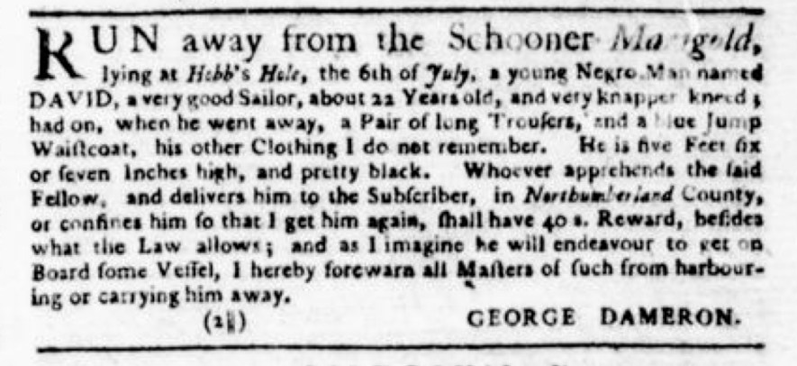 The Adverts 250 Project | An Exploration of Advertising During the Era ...